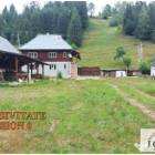 Case De Vanzare In Apuseni - 10 Case de vânzare case de vanzare in ...