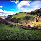 Batranesti - 121 Case de vânzare batranesti - Cari Case