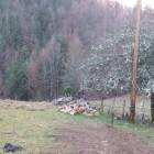 Teren Catun Apuseni - 6 Case de vânzare teren catun apuseni - Cari Case