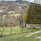 Casă Lupşa - 30 Case de vânzare casă lupşa - Cari Case