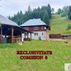 Muntii Apuseni - 176 Case de vânzare muntii apuseni - Cari Case